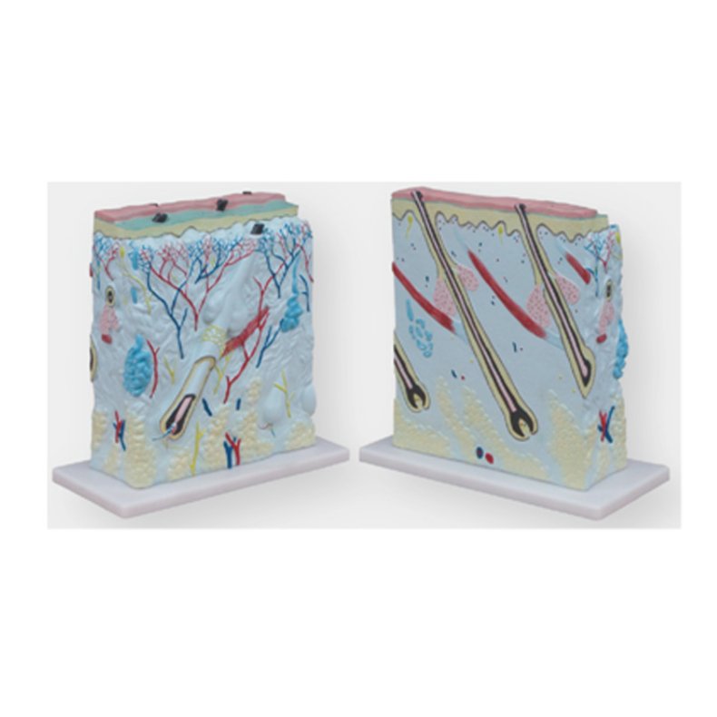 Projects – Paper corner